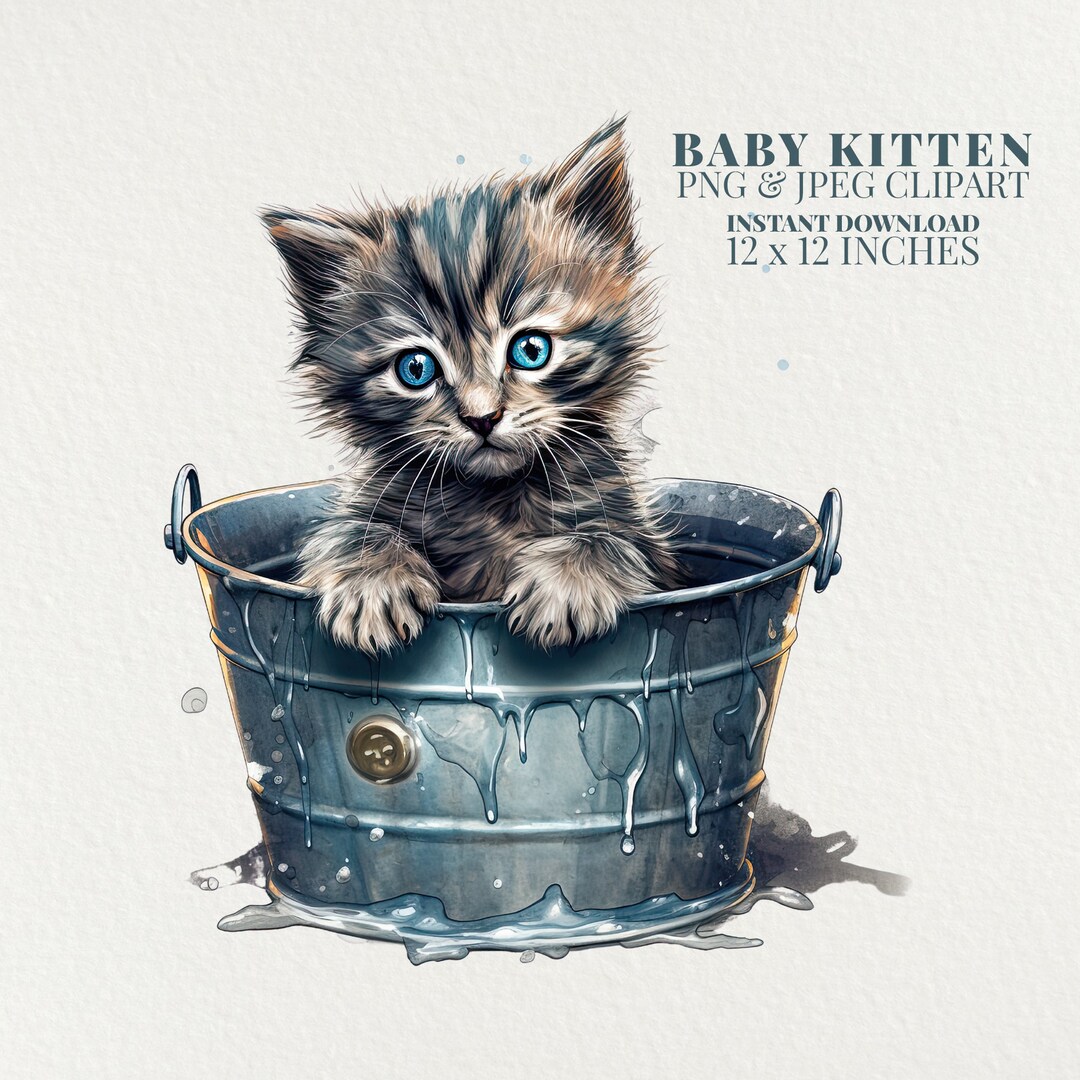 Cute Kitten in a Bucket Watercolor PNG Commercial Use Clip Art, Baby ...