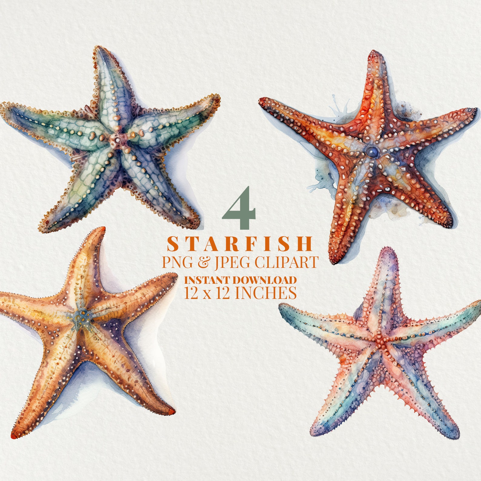 Starfish Watercolor PNG Commercial Use Clip Art, 4 Ocean Clipart PNG ...