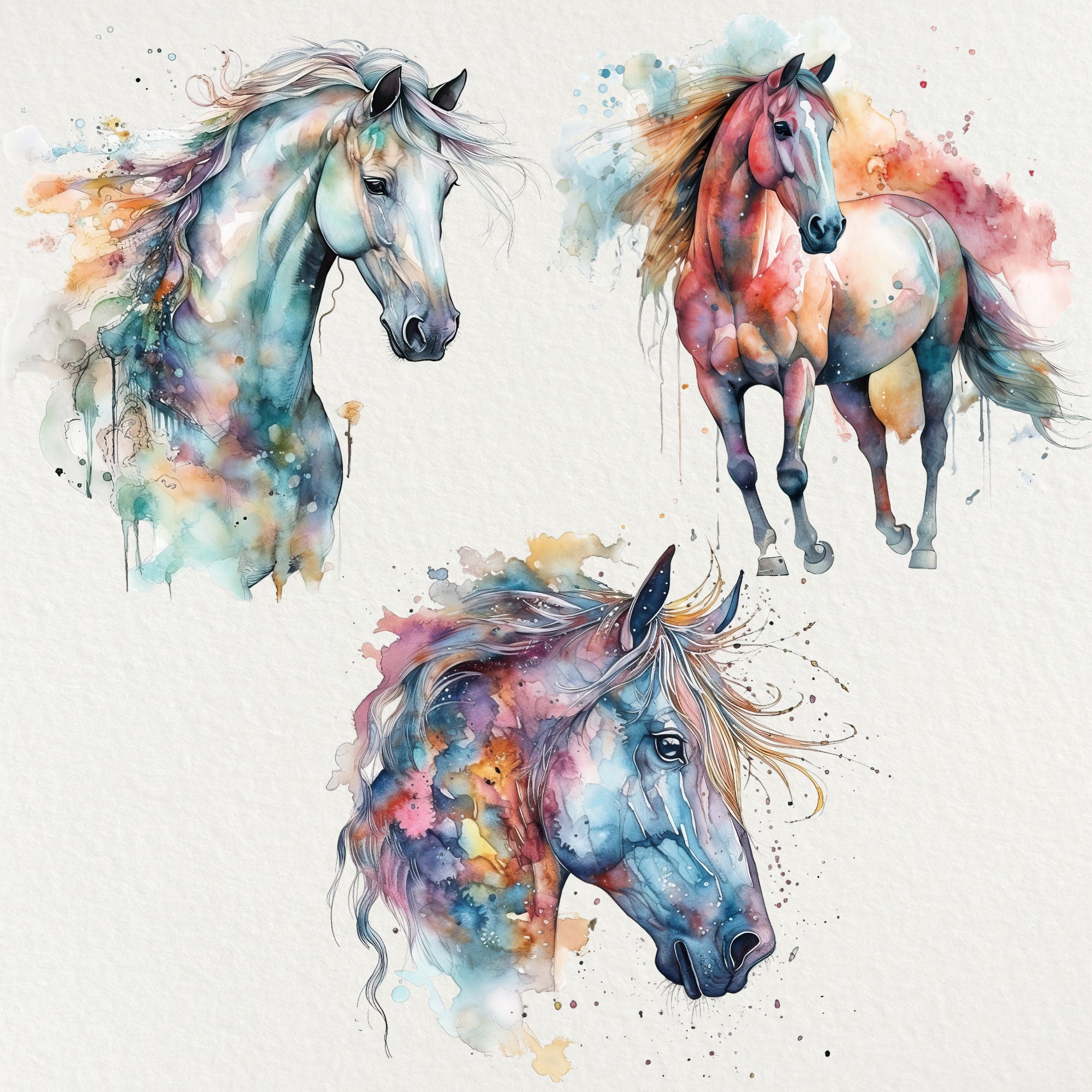 Horse Watercolor PNG Commercial Use Clip Art Bundle Rainbow - Etsy