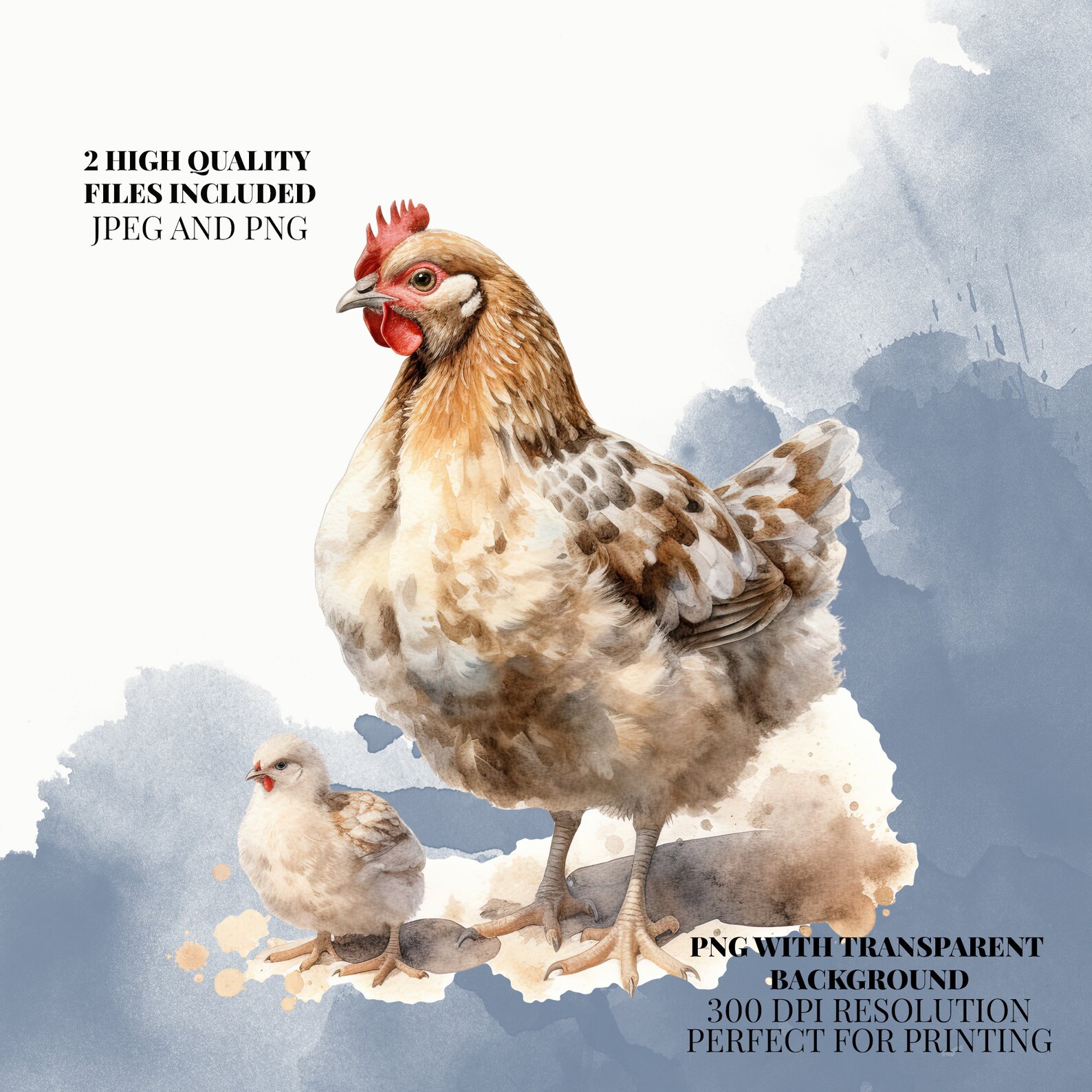 Farm Chicken & Chick Watercolor PNG Commercial Use Clip Art, Watercolor ...