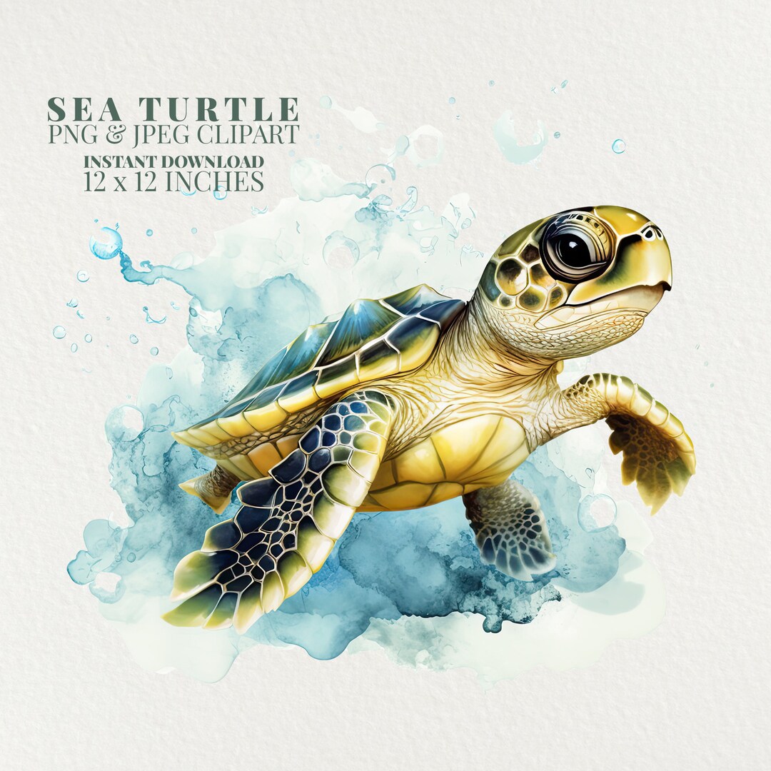 Sea Turtle Watercolor PNG Commercial Use Clip Art, Ocean Art Clipart ...