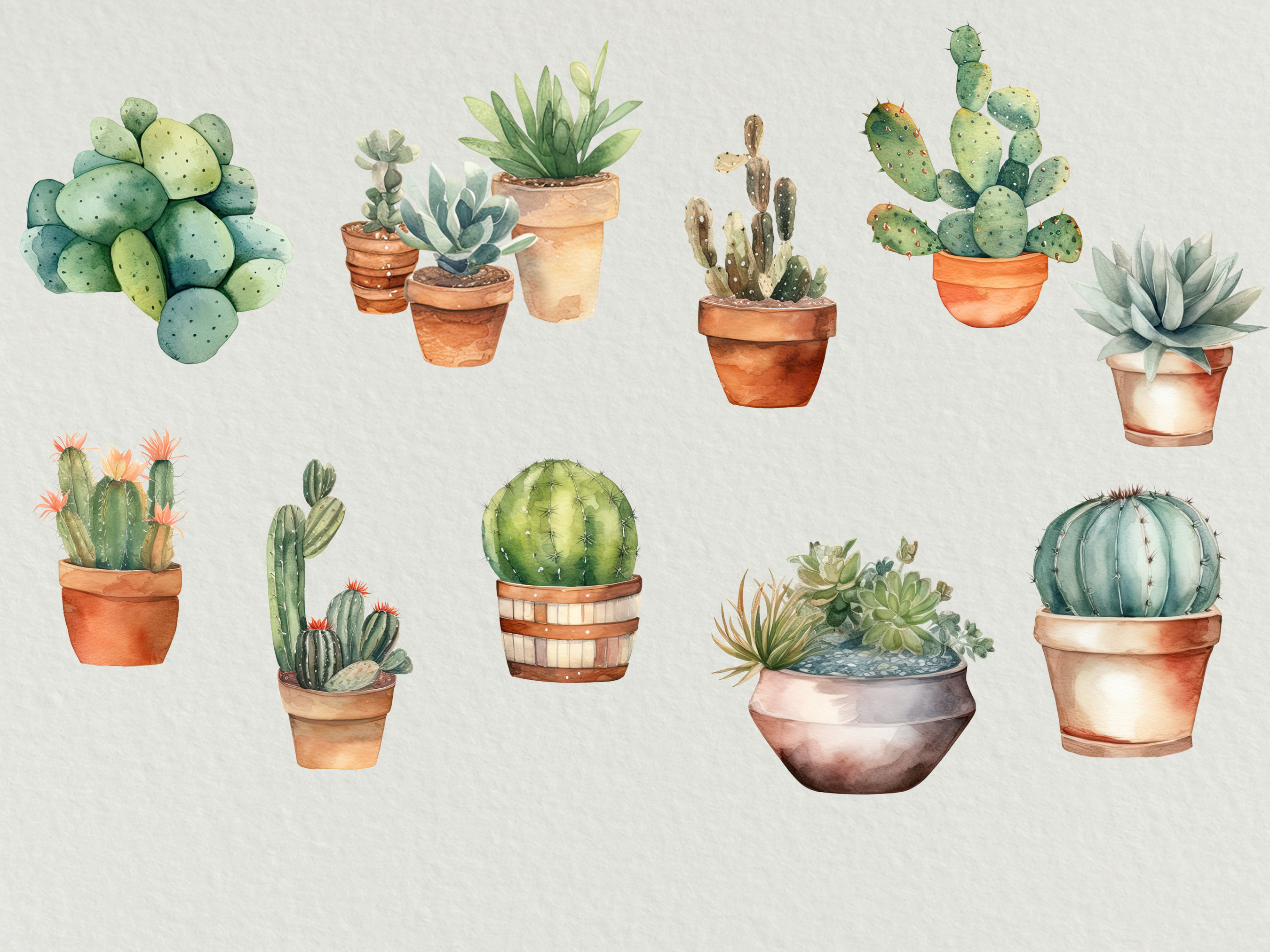 Watercolor Cactus Clip Art Bundle PNG Commercial Use, Set of 42 High ...