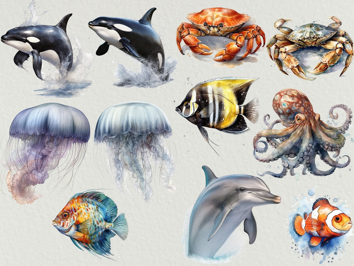 Ocean & Sea Watercolor PNG Commercial Use Clip Art Bundle, Set of 48 ...