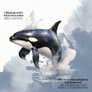 Orca Watercolor PNG Commercial Use Clip Art, Sea Art Clipart PNG ...