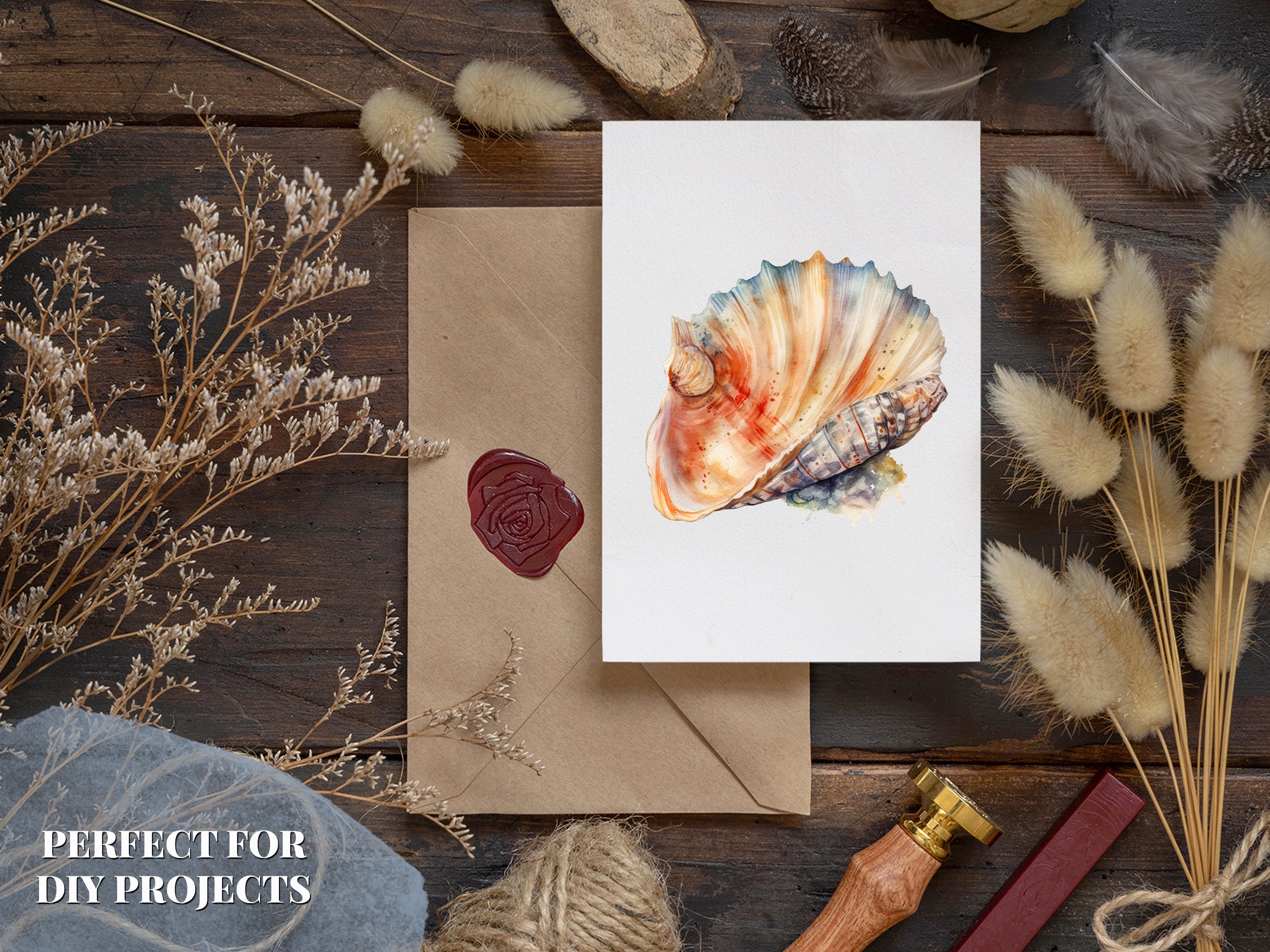 Seashell Watercolor PNG Commercial Use Clip Art, 4 Ocean Clipart PNG ...