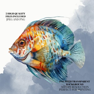 Exotic Fish Watercolor PNG Commercial Use Clip Art, Sea Art Clipart PNG ...