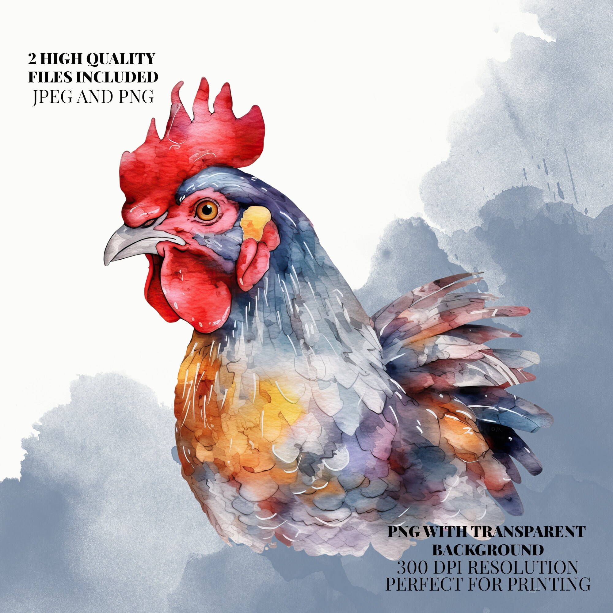 Chicken Watercolor PNG Commercial Use Clip Art Farm Animals - Etsy