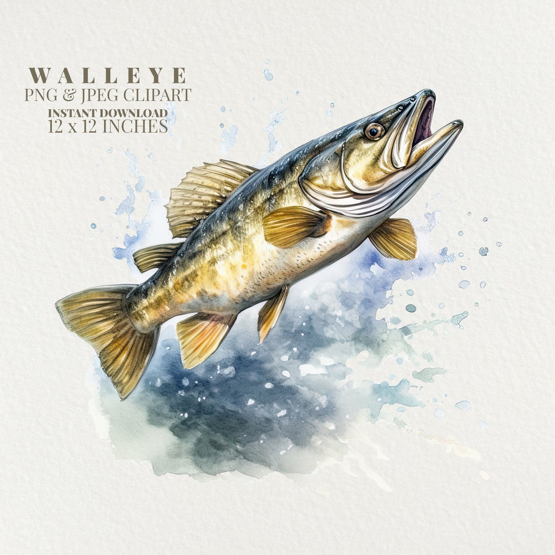 Walleye Watercolor PNG Commercial Use Clip Art, Fish Art Clipart PNG ...