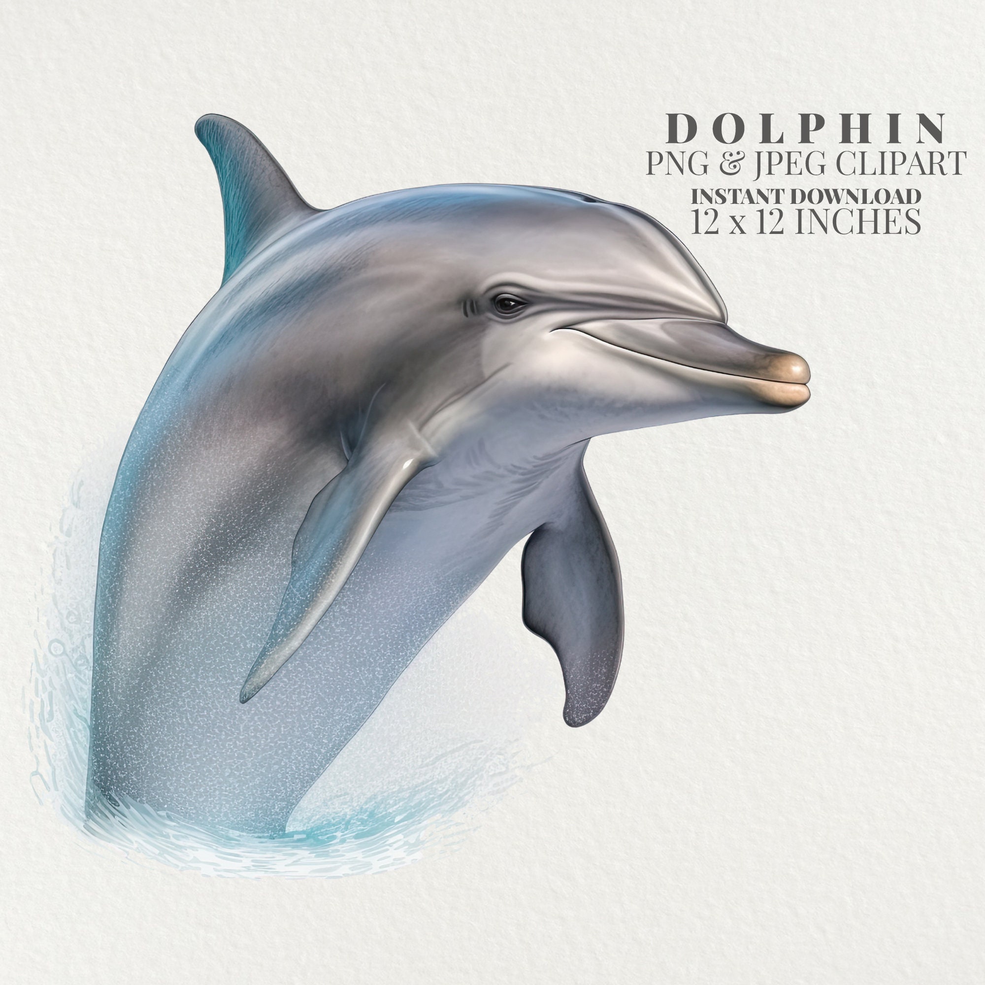 Dolphin Watercolor PNG Commercial Use Clip Art, Sea Art Clipart PNG ...