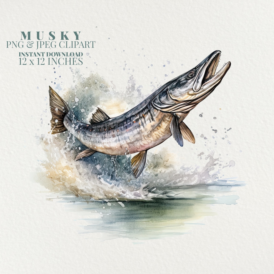 Musky Watercolor PNG Commercial Use Clip Art, Muskie Clipart PNG ...