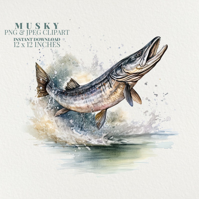 Musky Watercolor PNG Commercial Use Clip Art, Muskie Clipart PNG ...