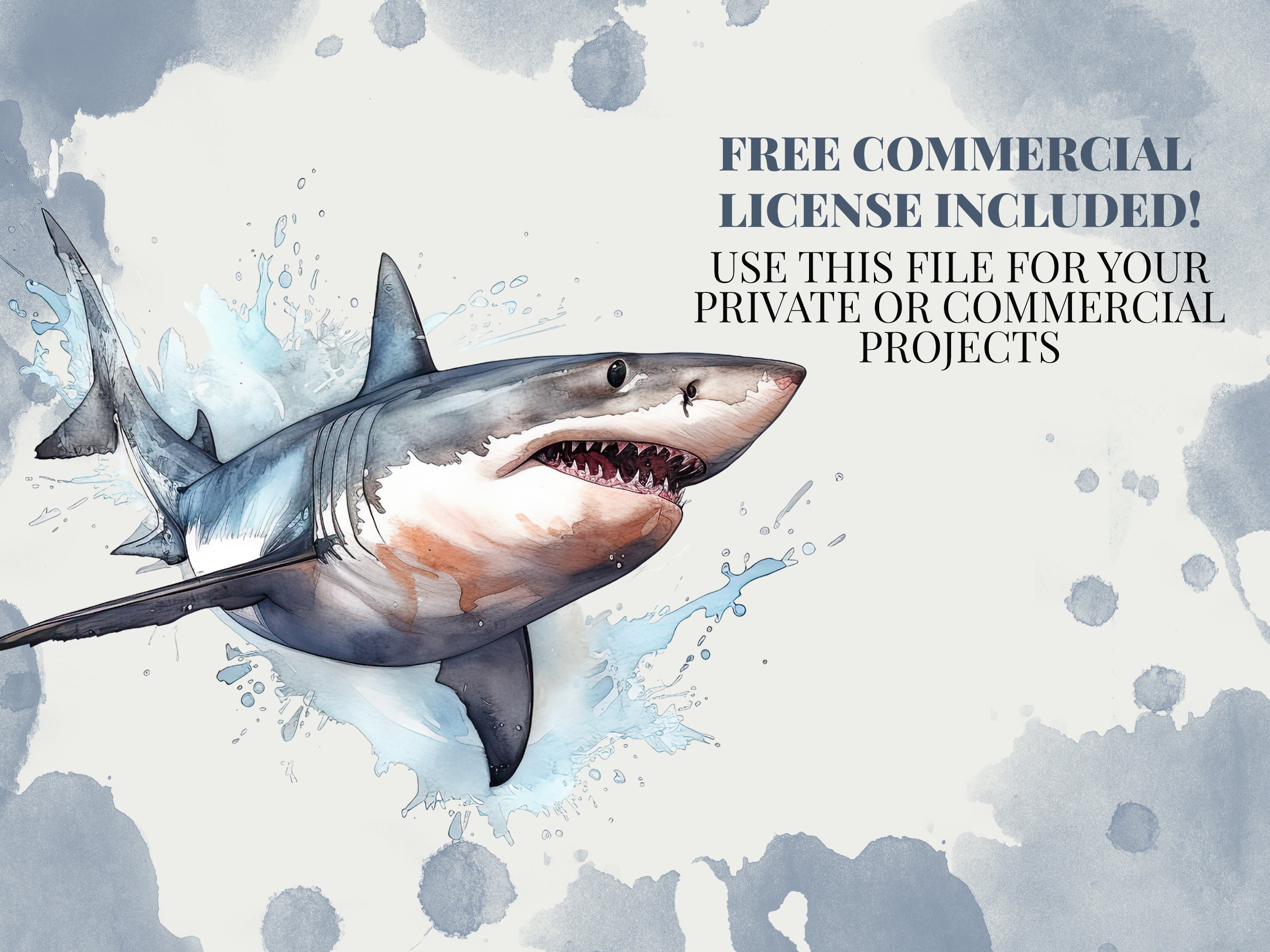 Shark Watercolor PNG Commercial Use Clip Art, Sea Art Clipart PNG ...