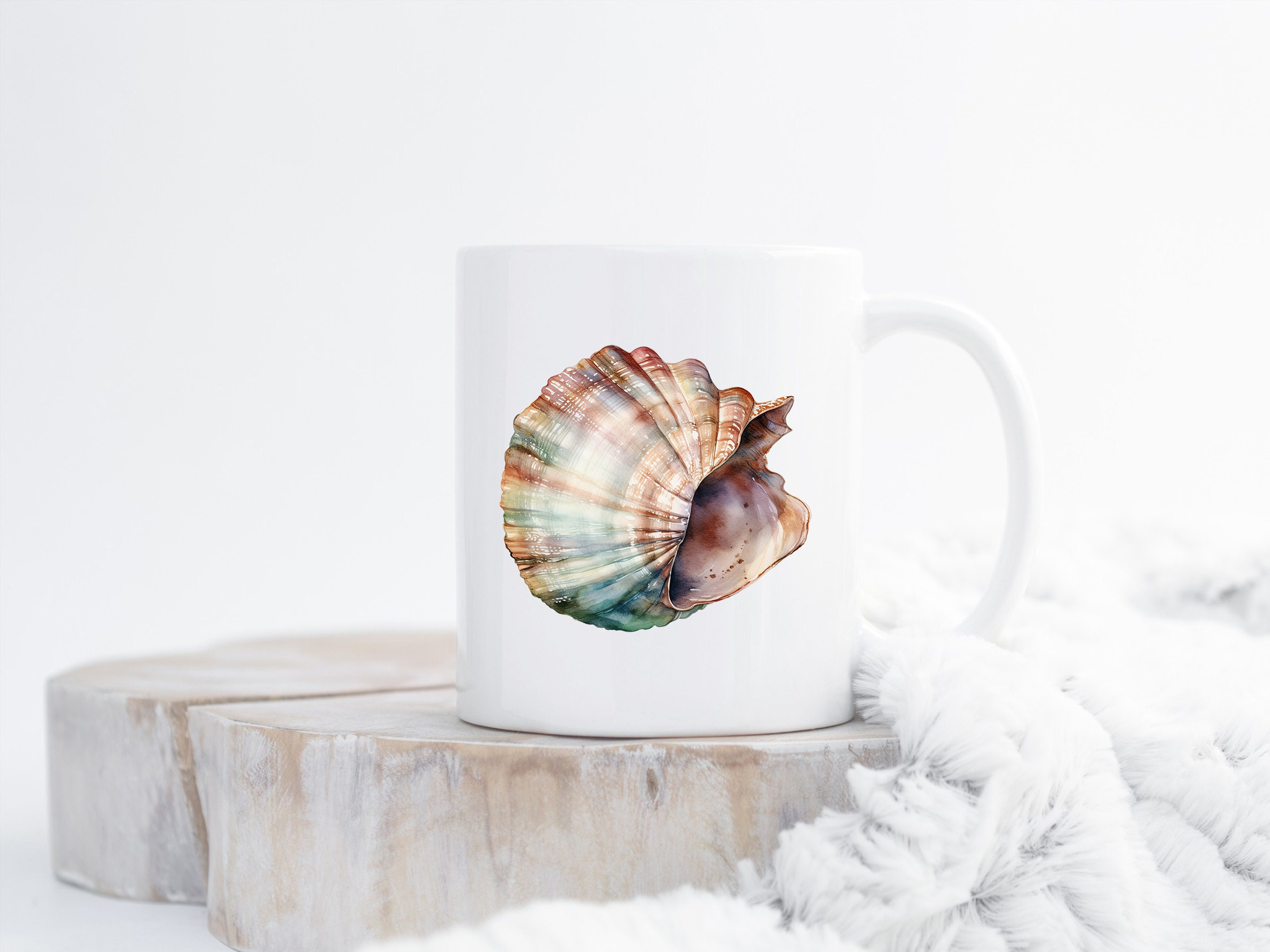 Seashell Watercolor PNG Commercial Use Clip Art, 4 Ocean Clipart PNG ...