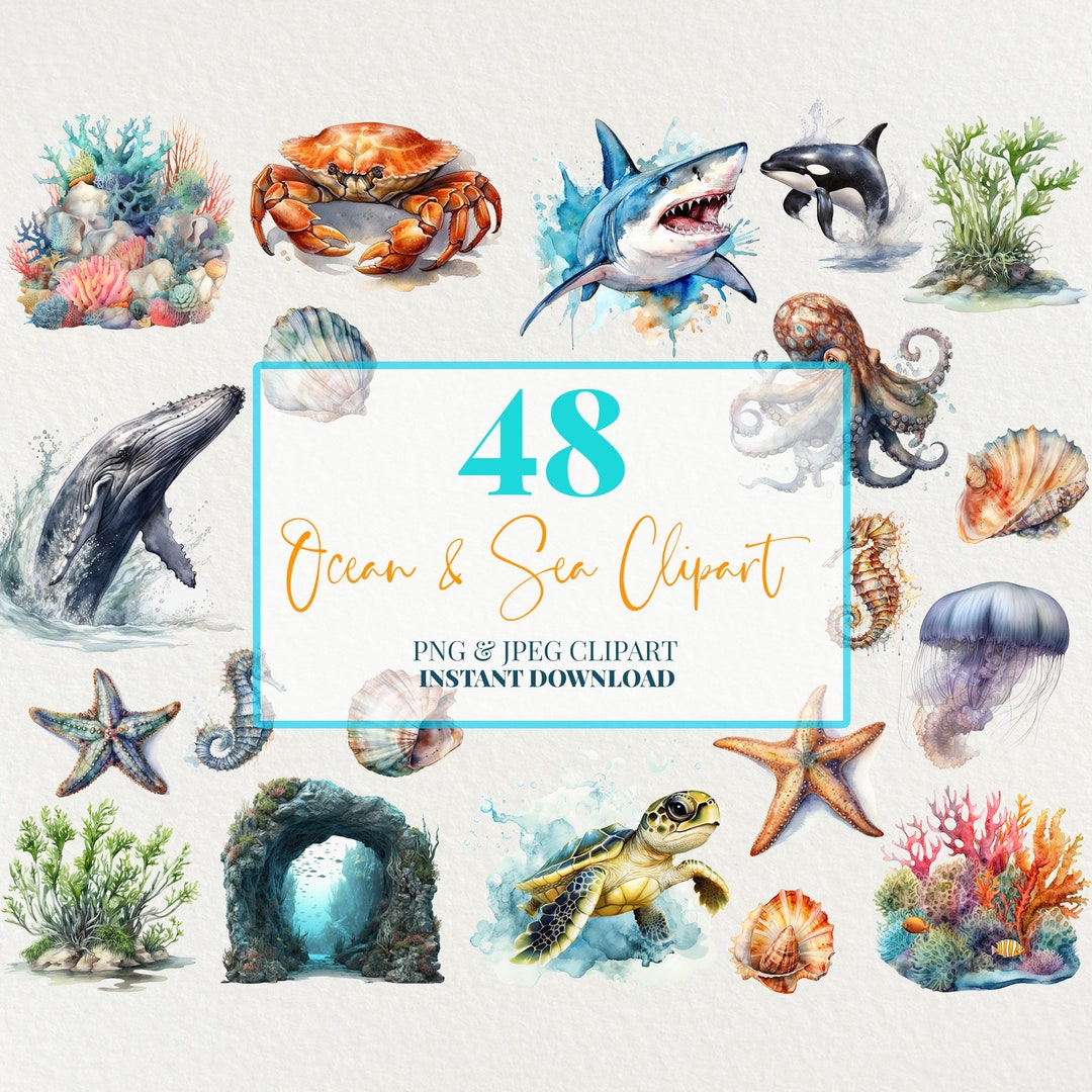Ocean & Sea Watercolor PNG Commercial Use Clip Art Bundle, Set of 48 ...