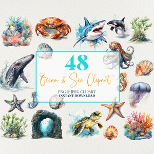 Ocean & Sea Watercolor PNG Commercial Use Clip Art Bundle, Set of 48 ...