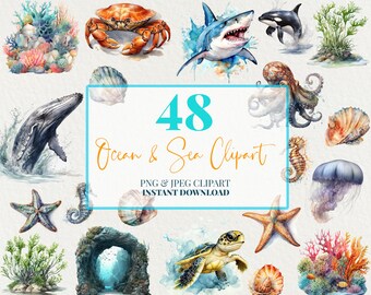 Watercolor Sea Life Ocean Animals PNG Sea Creatures - Etsy