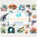 Ocean & Sea Watercolor PNG Commercial Use Clip Art Bundle, Set of 48 ...