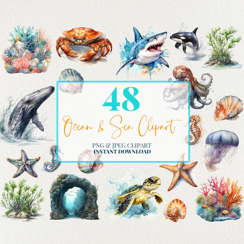 Ocean & Sea Watercolor PNG Commercial Use Clip Art Bundle, Set of 48 ...