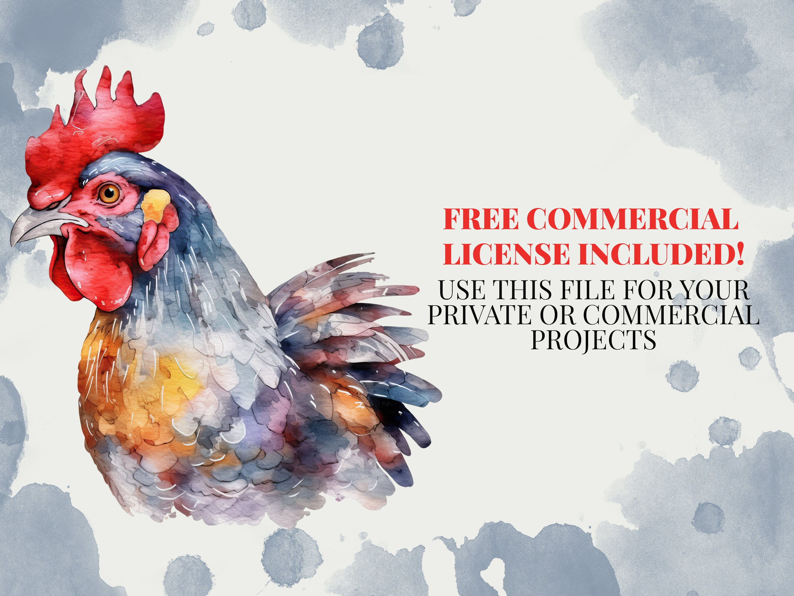Chicken Watercolor PNG Commercial Use Clip Art Farm Animals - Etsy
