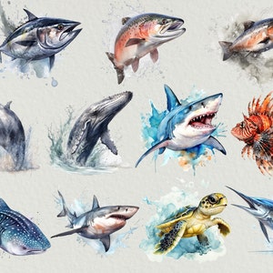 Ocean & Sea Watercolor PNG Commercial Use Clip Art Bundle, Set of 48 ...