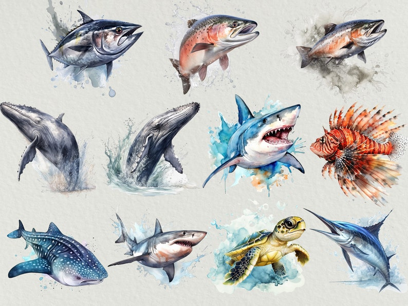 Ocean & Sea Watercolor PNG Commercial Use Clip Art Bundle, Set of 48 ...