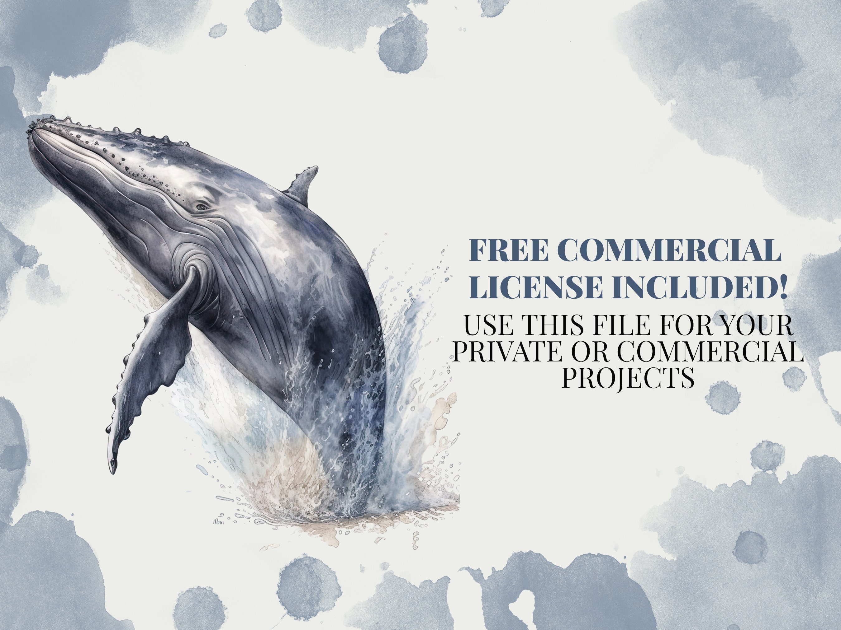 Humpback Whale Watercolor PNG Commercial Use Clip Art, Sea Art Clipart ...