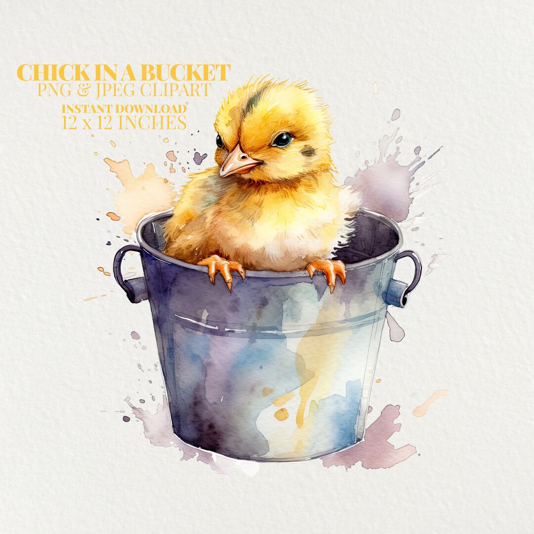 Cute Chick in a Bucket Watercolor PNG Commercial Use Clip Art, Baby ...