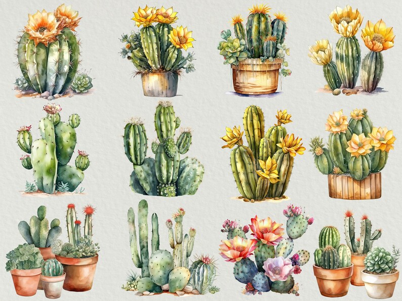 Watercolor Cactus Clip Art Bundle PNG Commercial Use, Set of 42 High ...