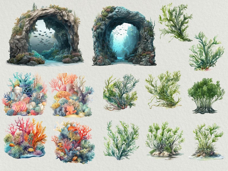 Ocean & Sea Watercolor PNG Commercial Use Clip Art Bundle, Set of 48 ...