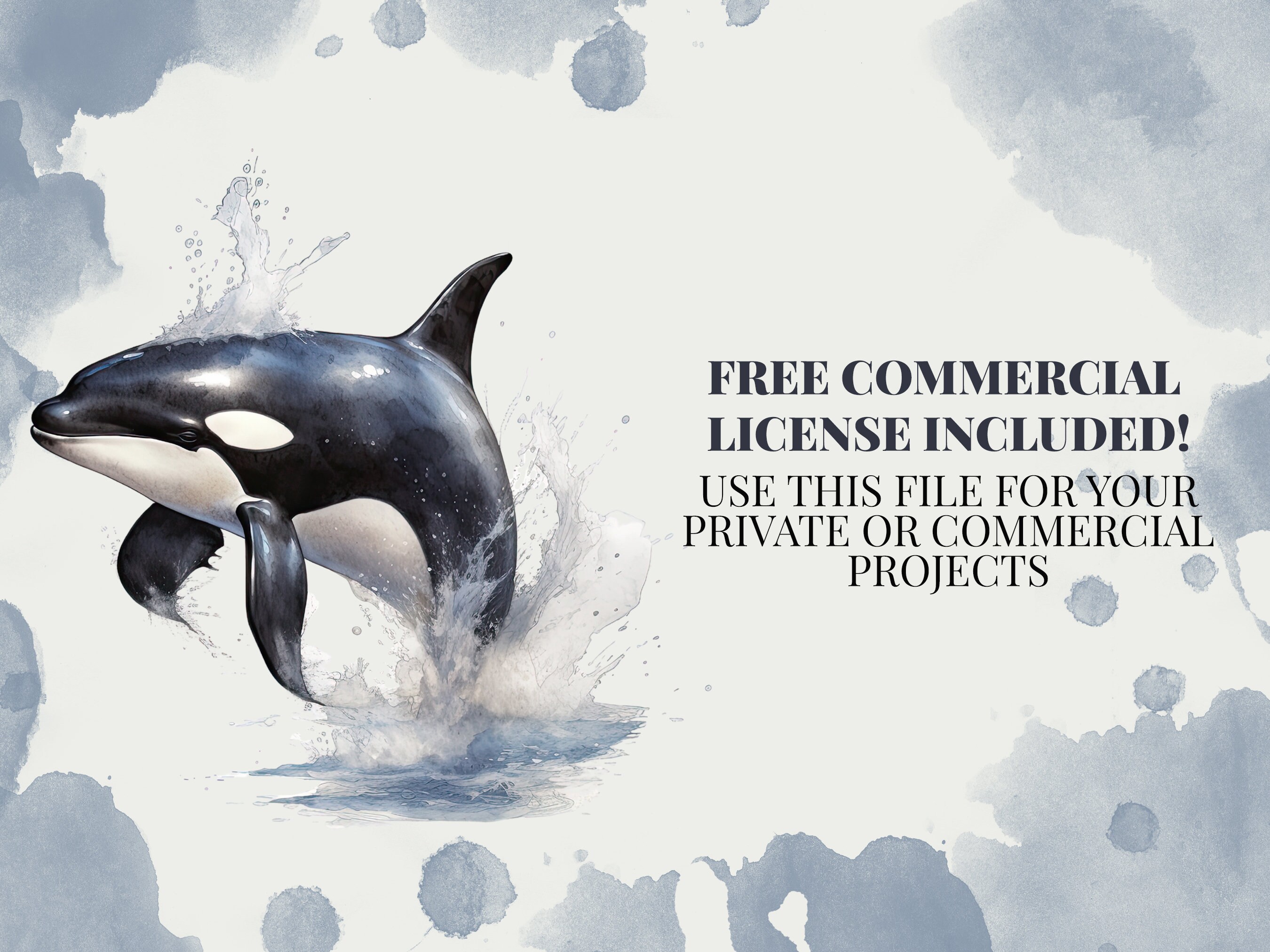 Orca Watercolor PNG Commercial Use Clip Art, Sea Art Clipart PNG ...