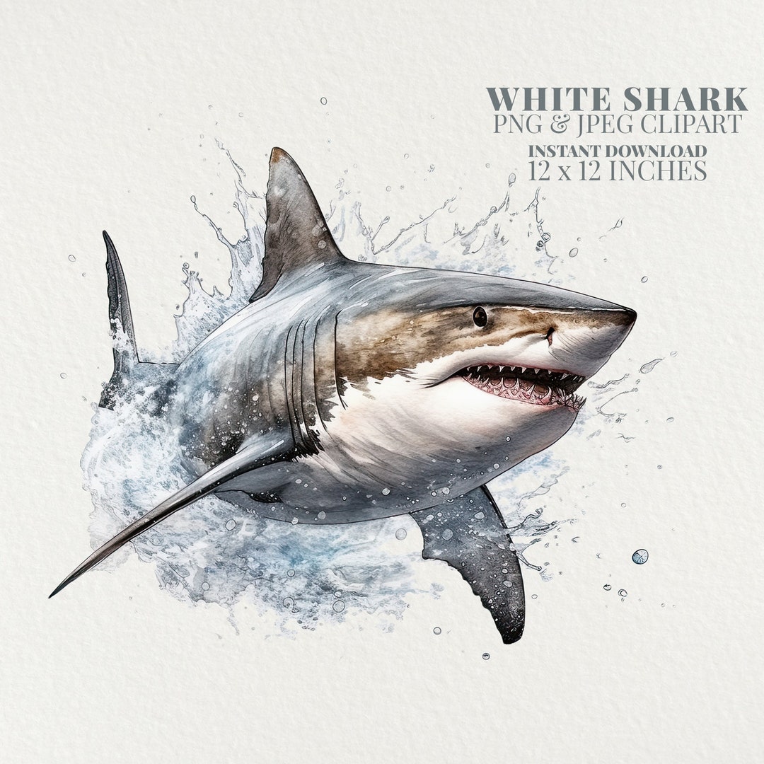 Shark Watercolor PNG Commercial Use Clip Art, Sea Art Clipart PNG ...