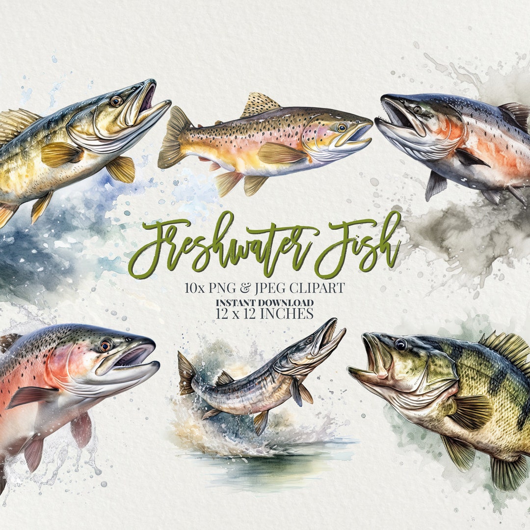 Freshwater Fish Watercolor PNG Commercial Use Clip Art Bundle, Set of ...