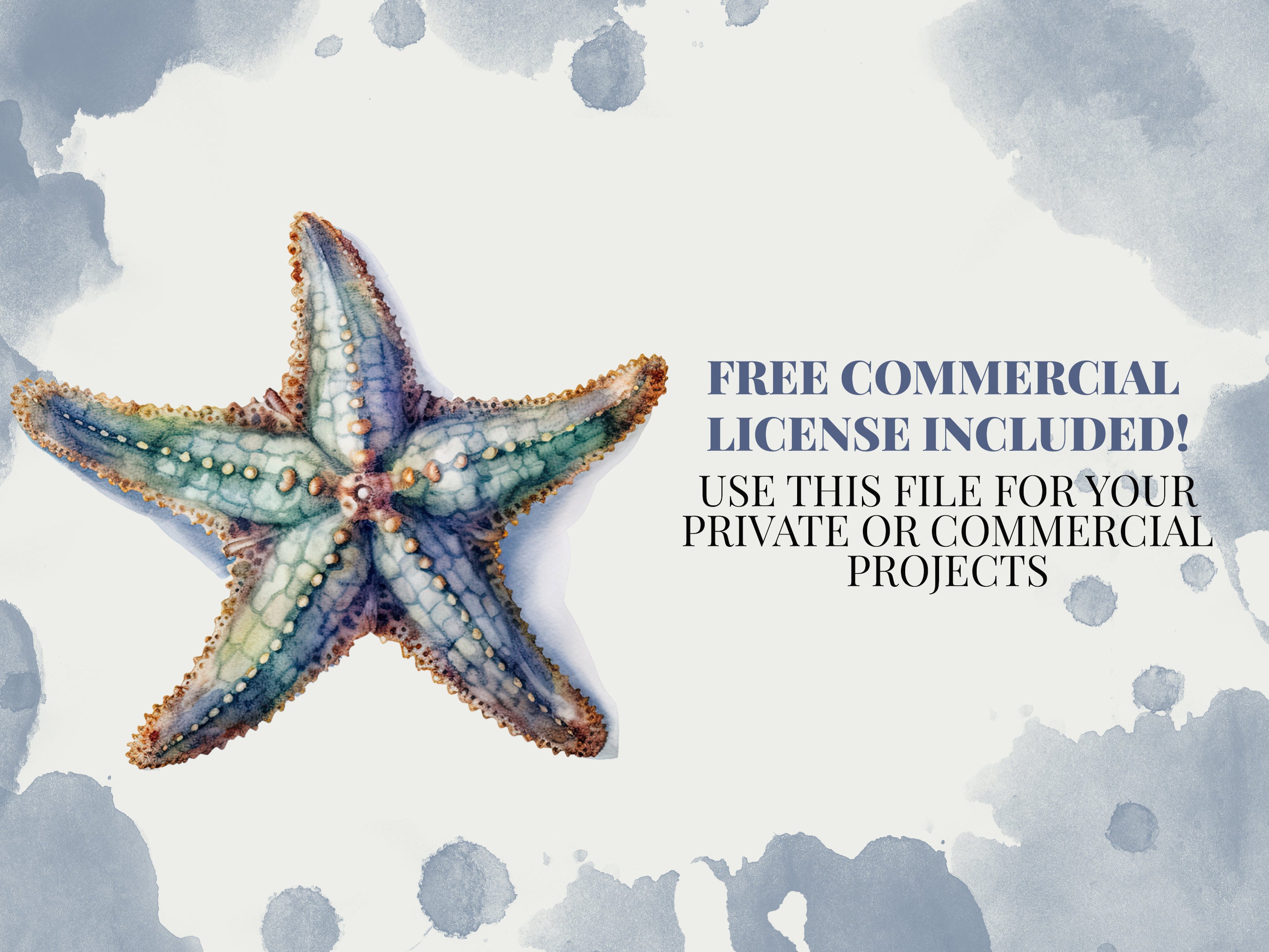Starfish Watercolor PNG Commercial Use Clip Art 4 Ocean - Etsy