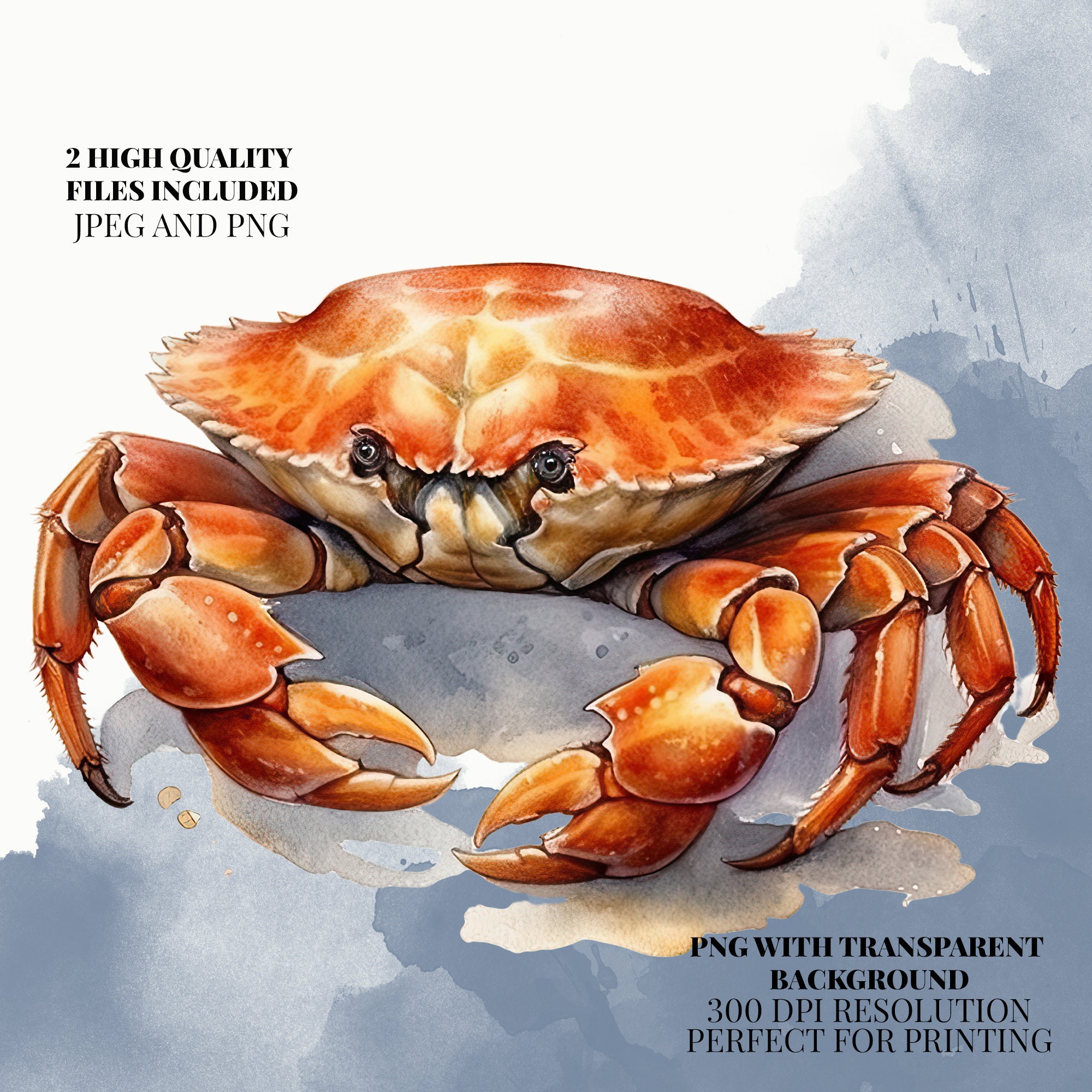 Crab Watercolor PNG Commercial Use Clip Art, Sea Art Clipart PNG ...