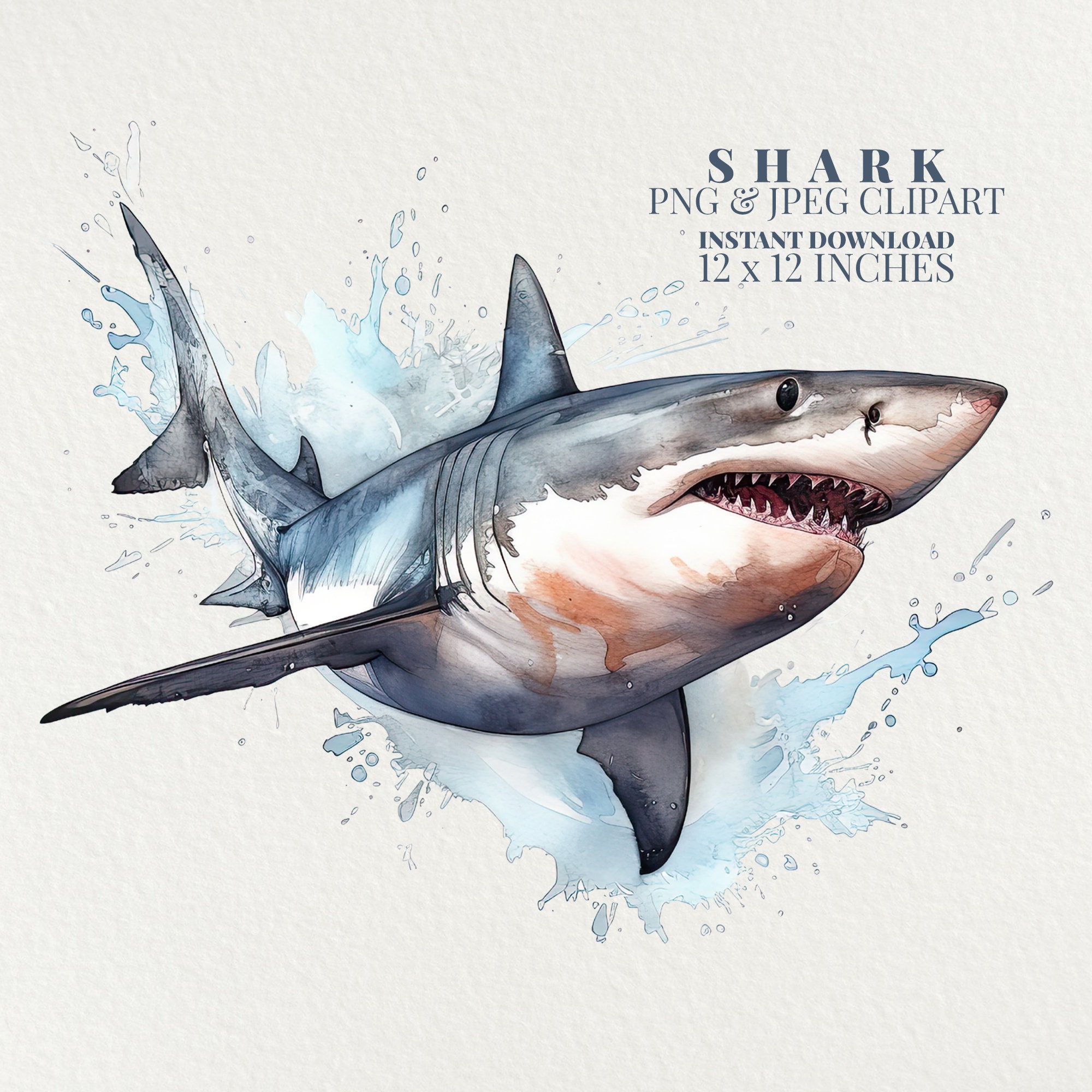 Shark Watercolor PNG Commercial Use Clip Art, Sea Art Clipart PNG ...