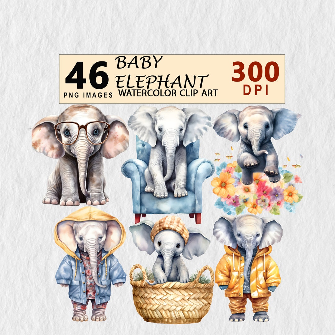 Baby Elephant Watercolor Clipart PNG Digital Download Wall ART - Etsy