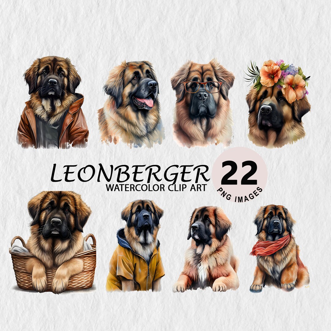 Leonberger Watercolor Clipart Bundle, Dog Clipart, Leonberger Element ...