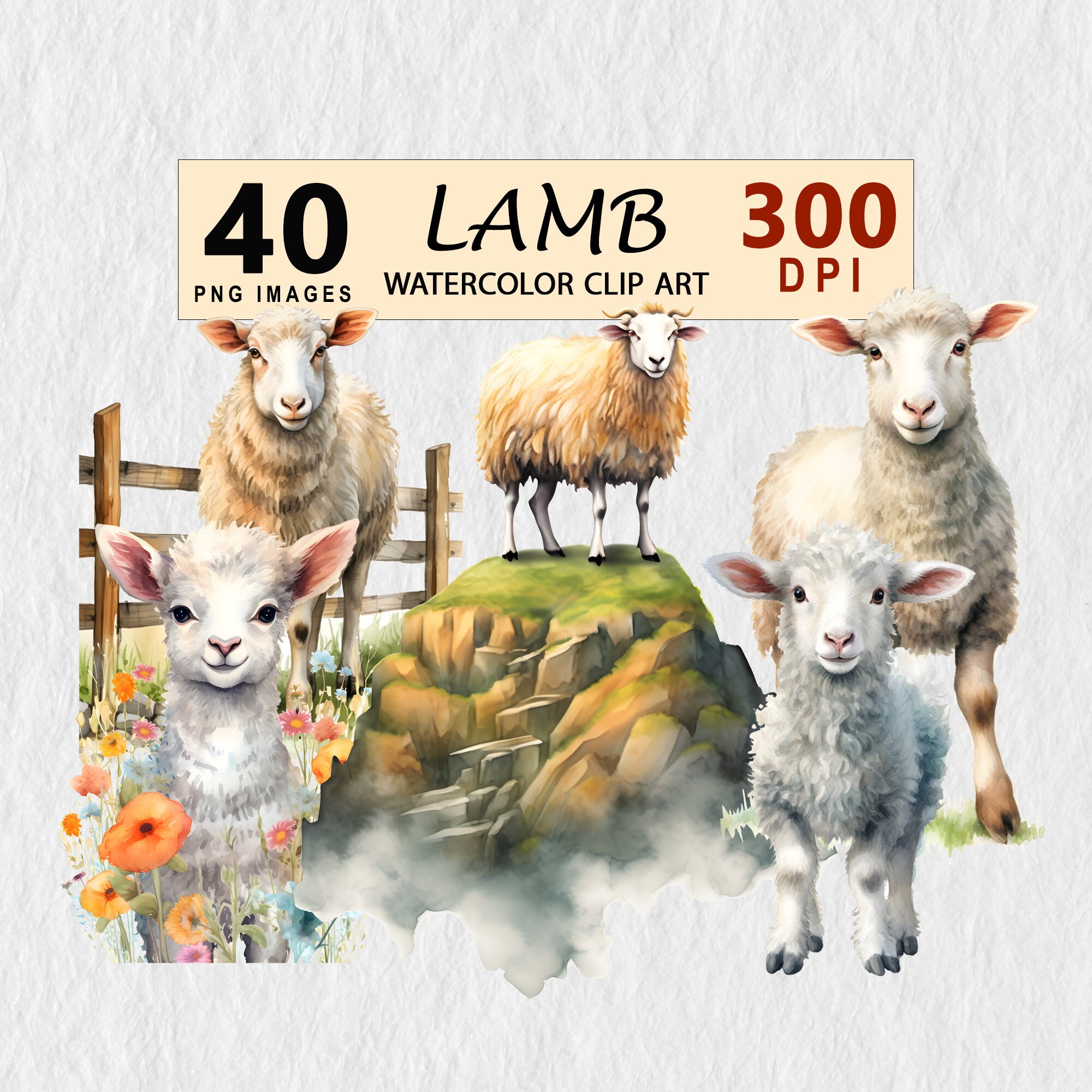 Lamb Watercolor Clipart Digital Art Transparent PNG Download - Etsy