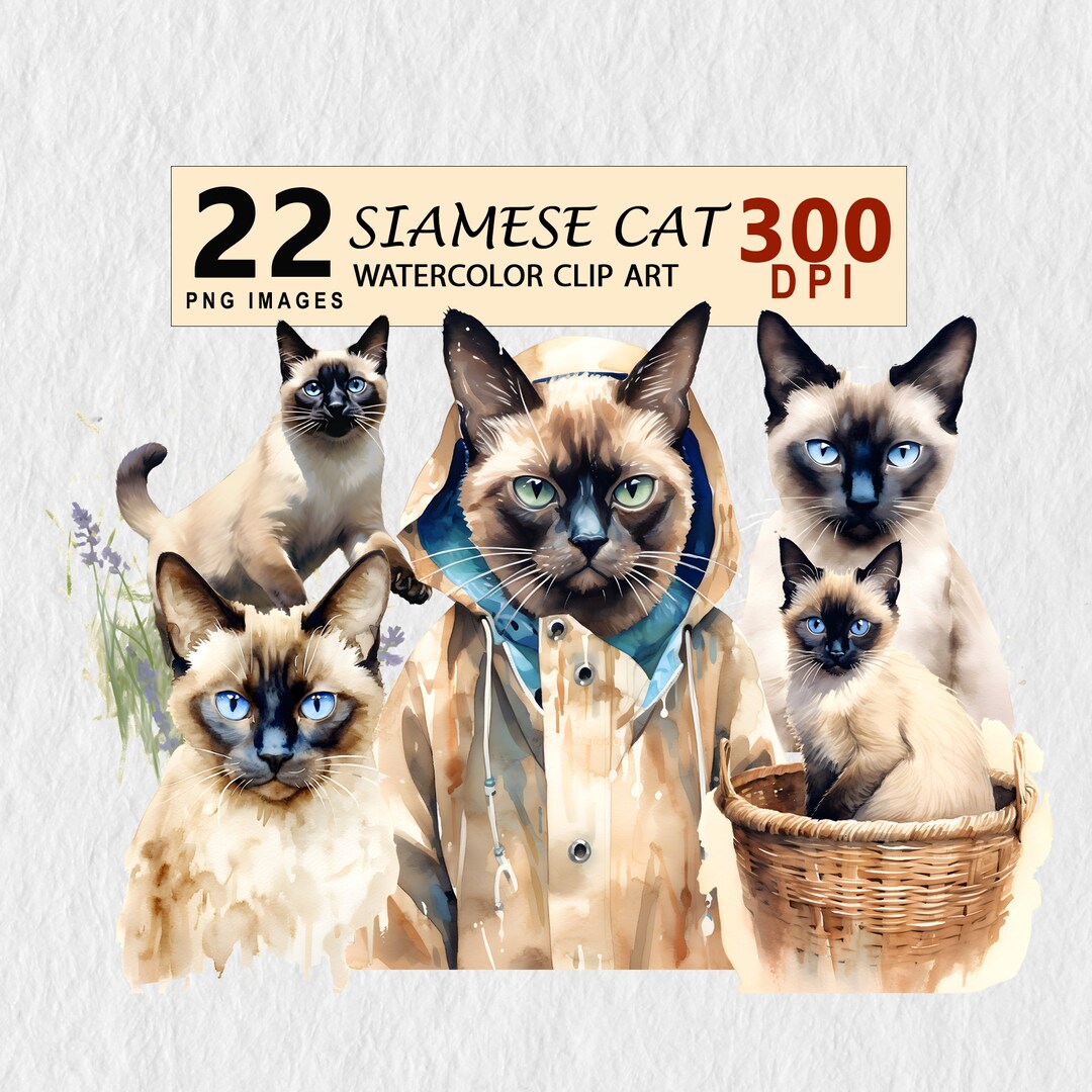 Siamese Cat Clipart Watercolor Downloadable Illustration Transparent ...