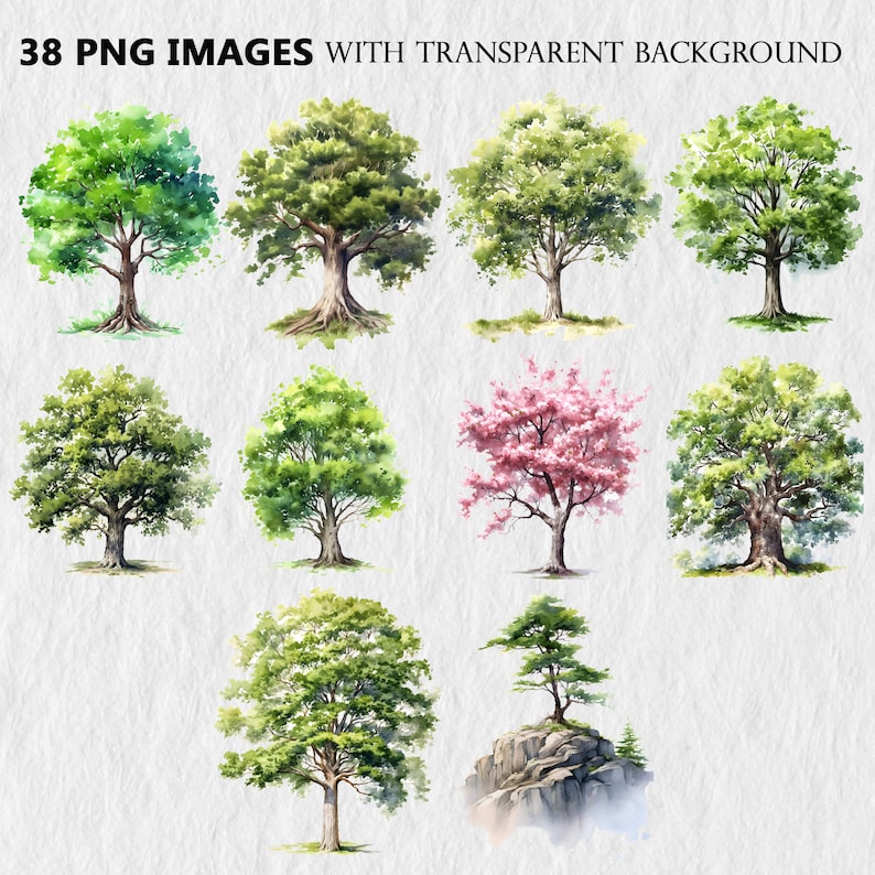 Trees Watercolor Clipart PNG Digital Download Wall ART - Etsy UK