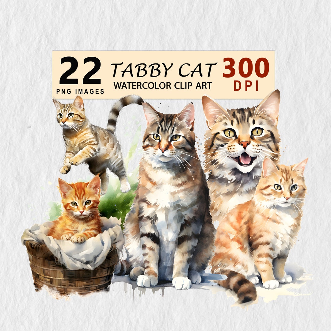 Tabby Cat Watercolor Clipart Clip Art Clipart Element Illustration ...