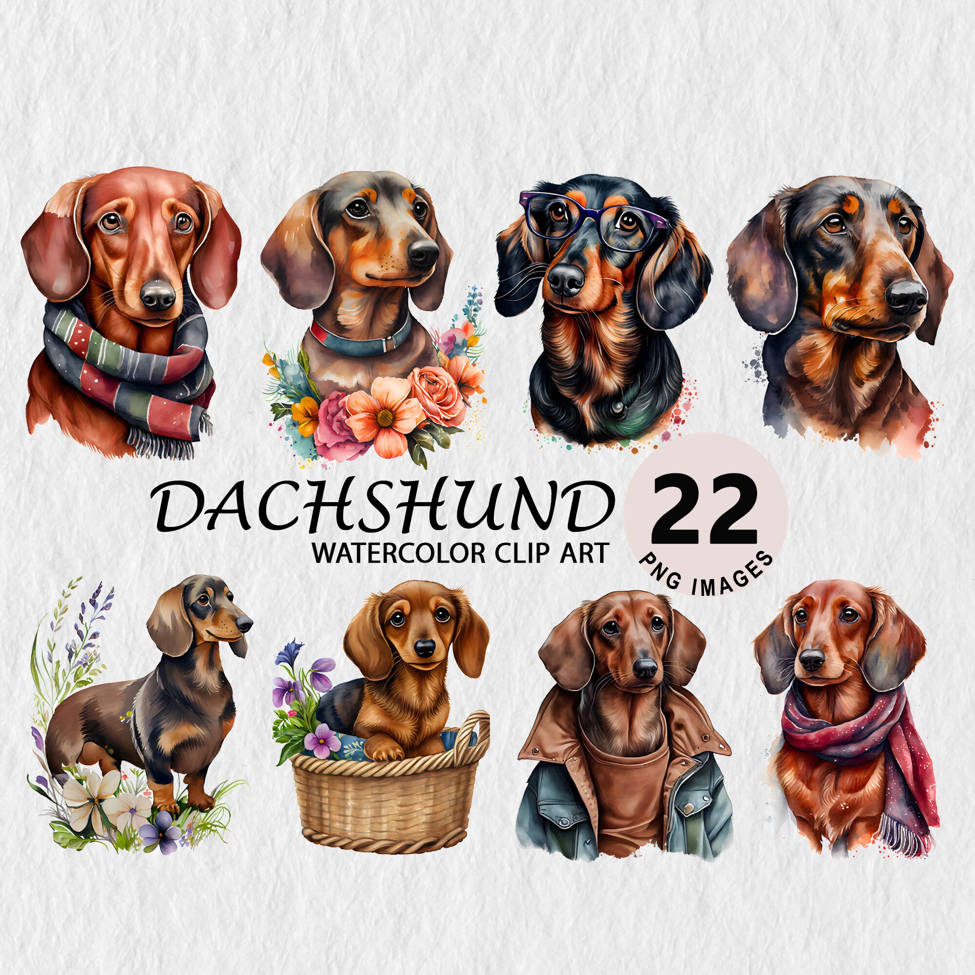 Dachshund Clipart Downloadable Element Transparent PNG - Etsy
