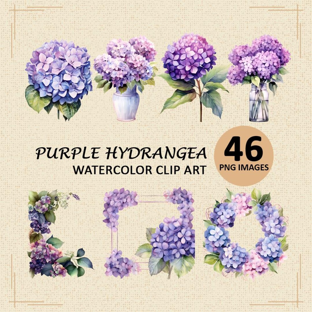 Purple Hydrangea Watercolor Clipart PNG for Scrapbooking Digital ...