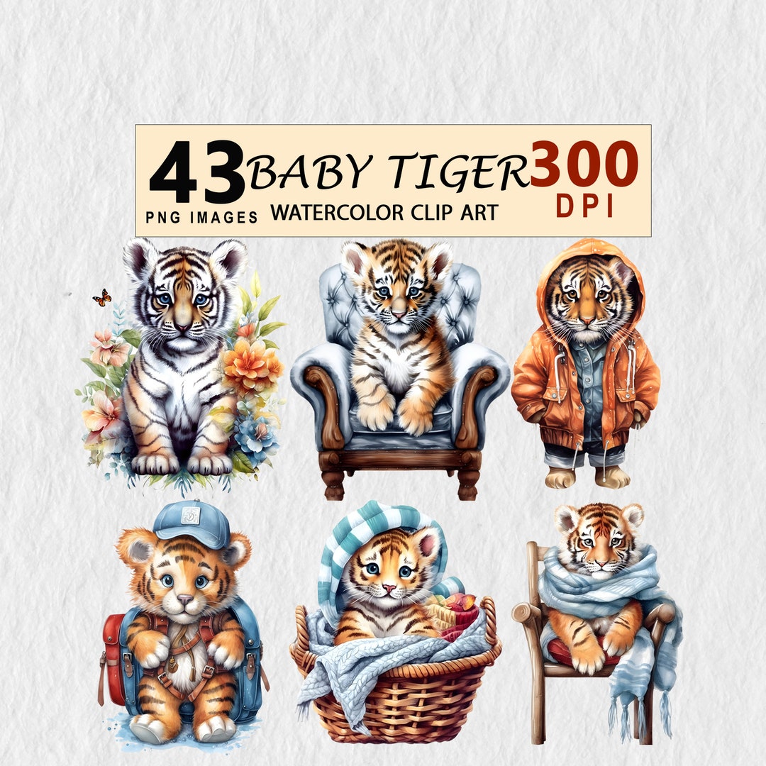 Baby Tiger Watercolor Clipart PNG Digital Download Planner Wall ART ...