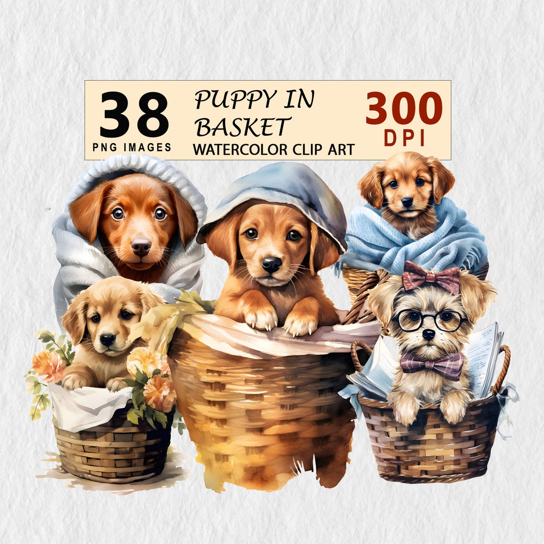 Puppy in Basket Watercolor Clipart PNG for Nursery Wall Art - Etsy
