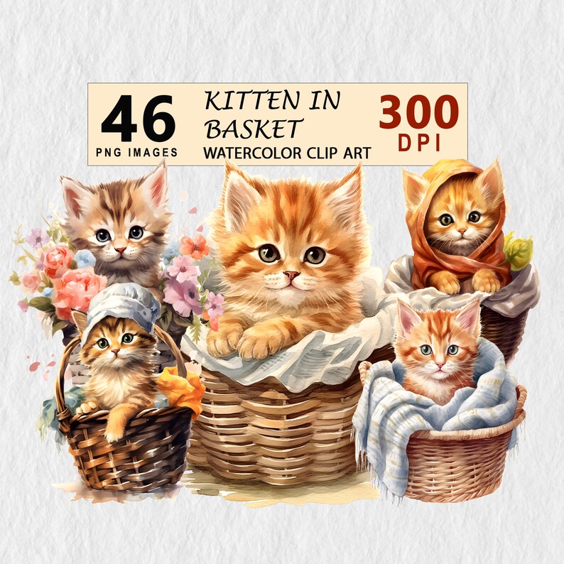 Kitten in Basket Watercolor Clipart PNG Digital Download - Etsy