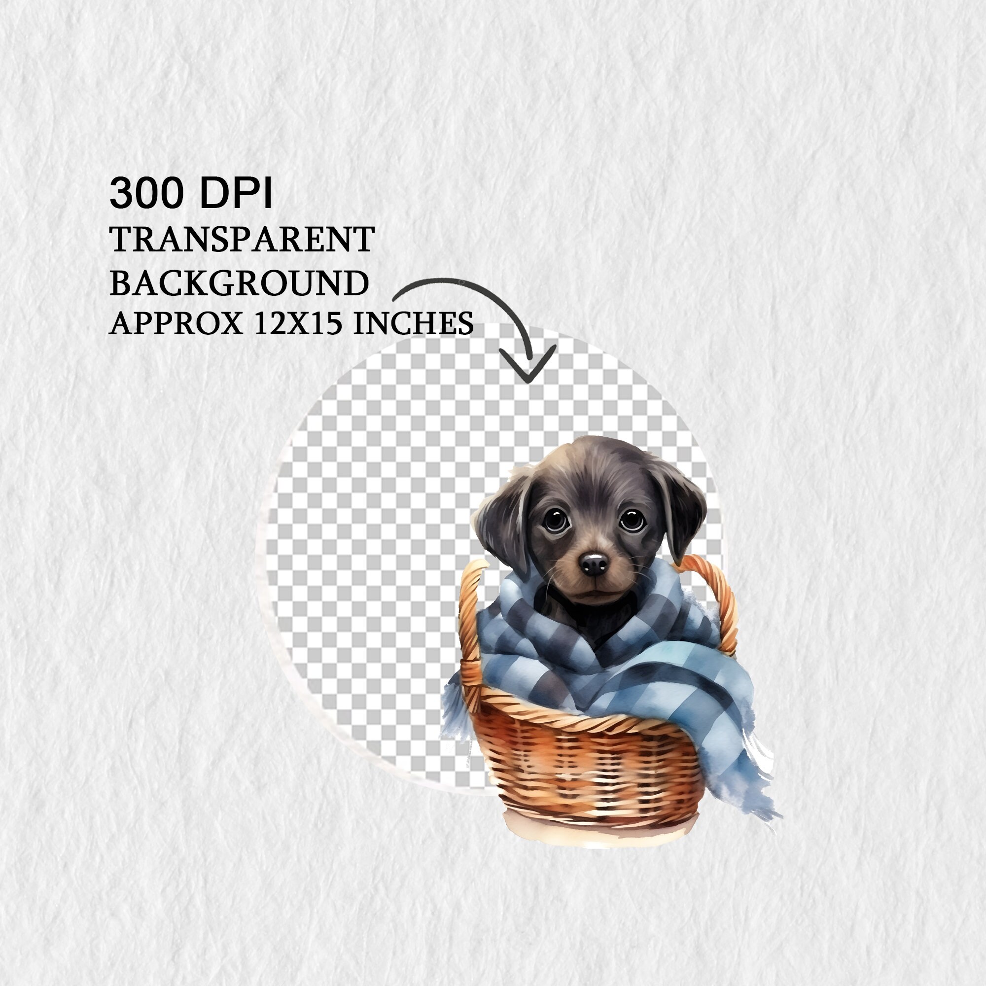 Puppy in Basket Watercolor Clipart PNG for Nursery Wall Art - Etsy
