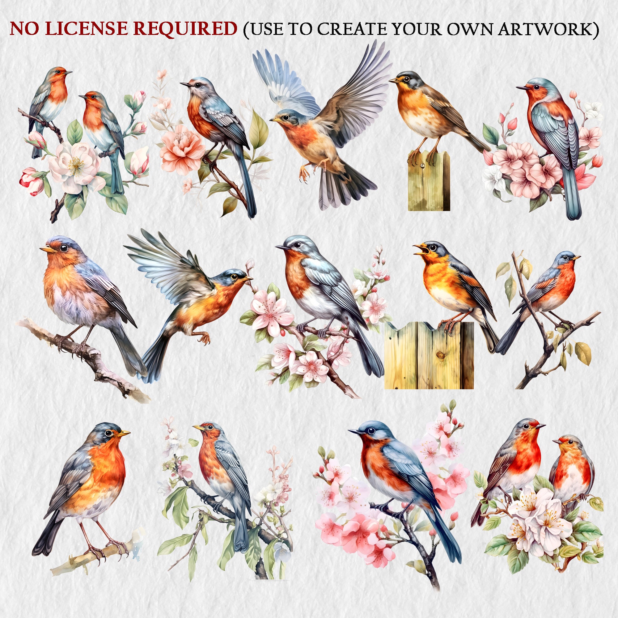 Robin Watercolor Clipart PNG Nursery Wall Art Scrapbooking - Etsy