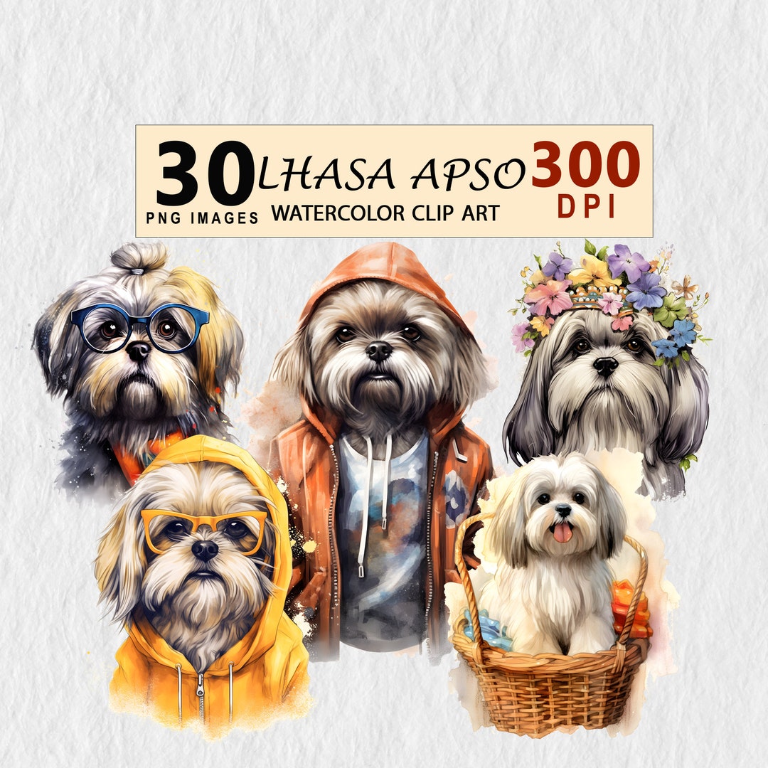 Lhasa Apso Watercolor Clipart Illustration Transparent PNG Download ...