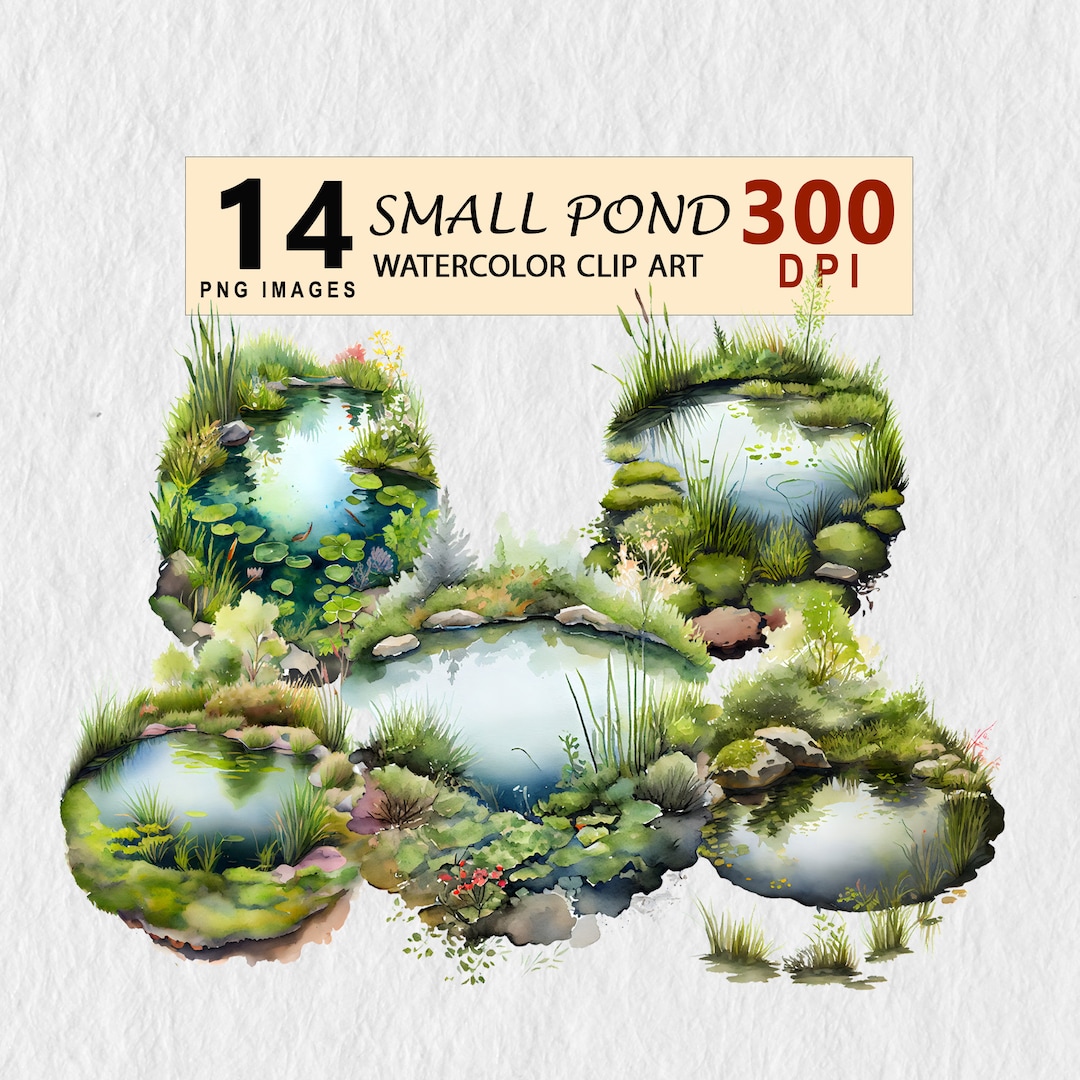 Small Pond Watercolor Clipart Element Illustration Transparent PNG ...